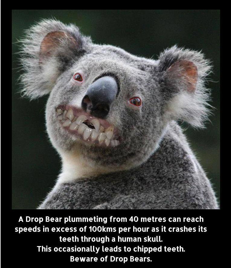 未確認生物(UMA)の有名・人気ランキング50選！世界・日本別【最新決定版】 | WONDIA