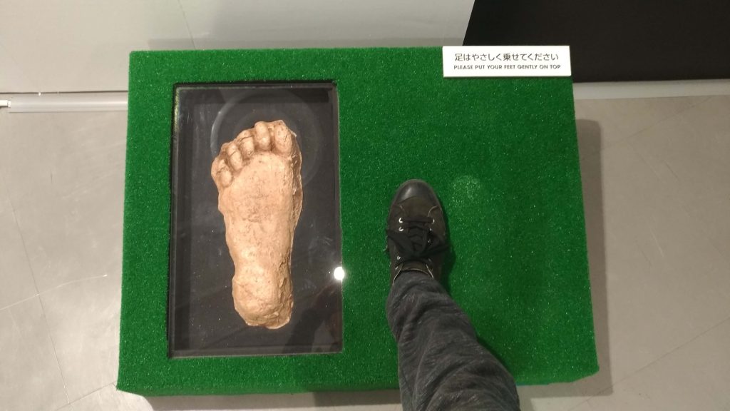 ビッグフット(UMA)の正体は？実在する？写真や映像・目撃情報・イエティや雪男との違い・映画もまとめ | WONDIA