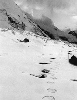 イエティ(UMA)の正体と現在は？写真と目撃場所・伝説や実在する証拠もまとめ | WONDIA