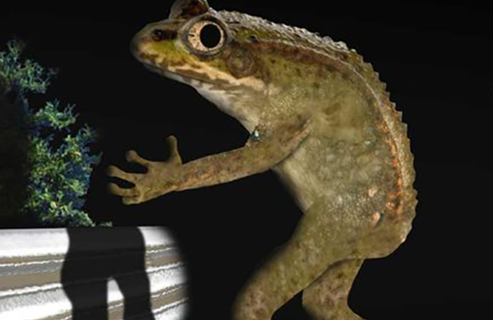 未確認生物(UMA)の有名・人気ランキング50選！世界・日本別【最新決定版】 | WONDIA