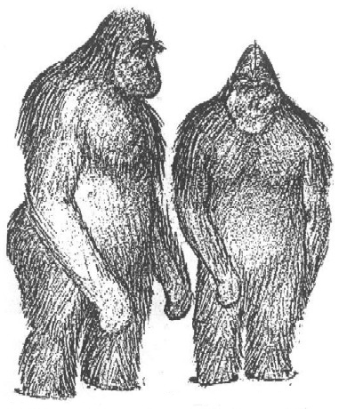 イエティ(UMA)の正体と現在は？写真と目撃場所・伝説や実在する証拠もまとめ | WONDIA