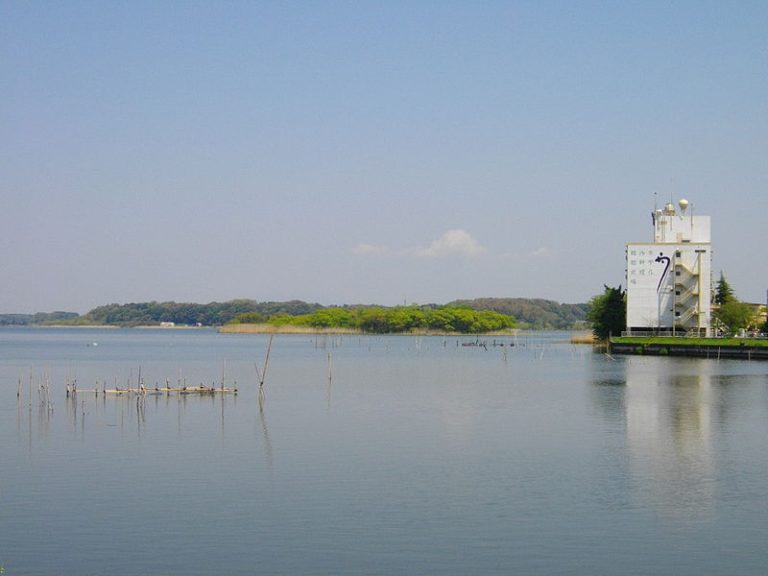 河童(UMA)の正体と伝説！歴史と起源・実在の可能性や画像もまとめ | WONDIA