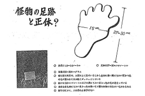 ヒバゴン(UMA)は広島に実在？写真と目撃場所・死骸と正体・映画もまとめ | WONDIA