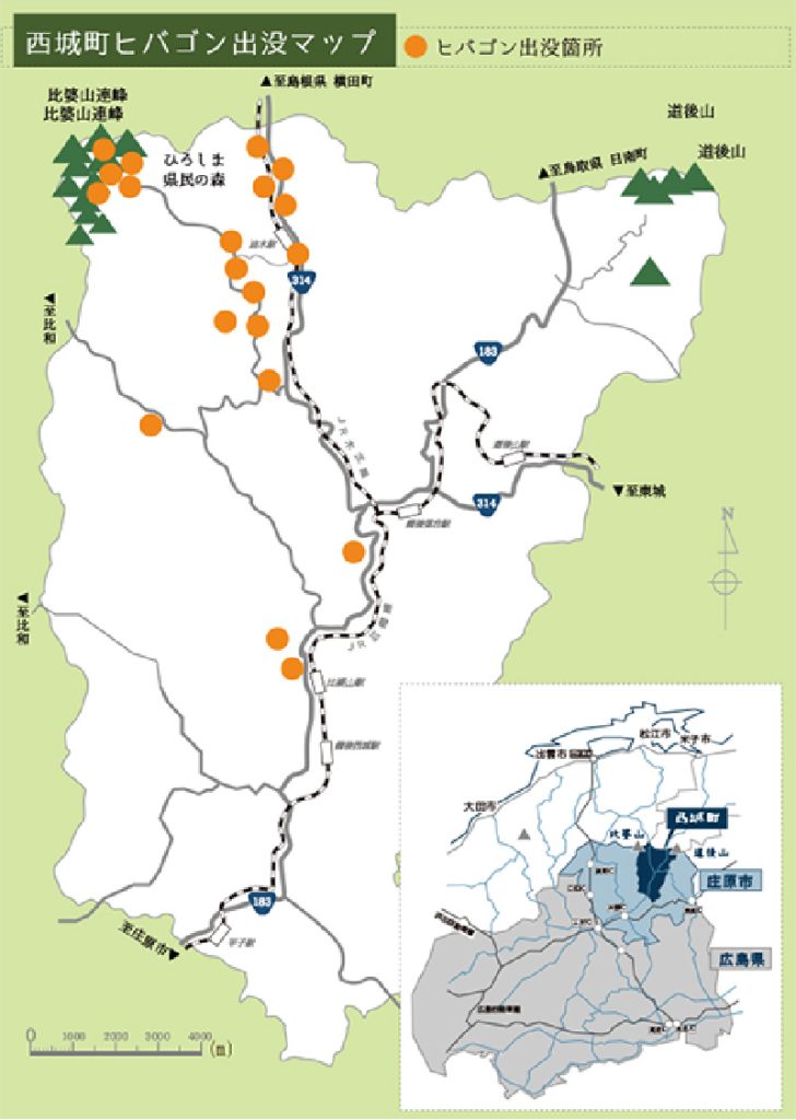 ヒバゴン(UMA)は広島に実在？写真と目撃場所・死骸と正体・映画もまとめ | WONDIA