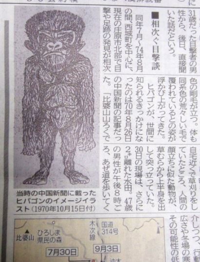 ヒバゴン(UMA)は広島に実在？写真と目撃場所・死骸と正体・映画もまとめ | WONDIA