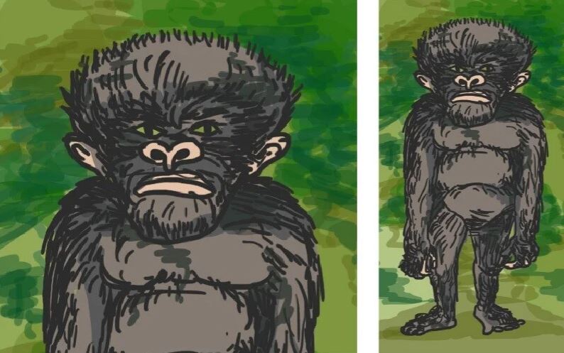 ヒバゴン(UMA)は広島に実在？写真と目撃場所・死骸と正体・映画もまとめ | WONDIA