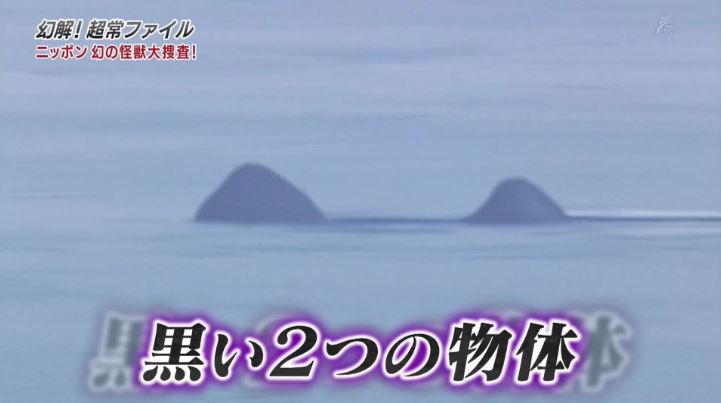 クッシー(屈斜路湖のUMA)の正体！実在は嘘？目撃場所や写真と動画もまとめ | WONDIA