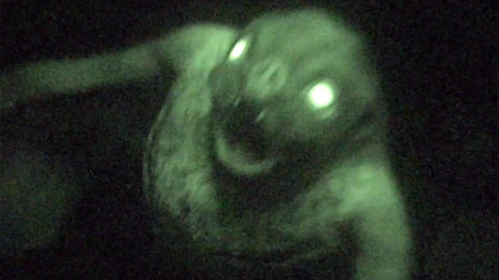 モスマン(UMA)の正体！場所と事件・写真や動画・実在の可能性まとめ | WONDIA