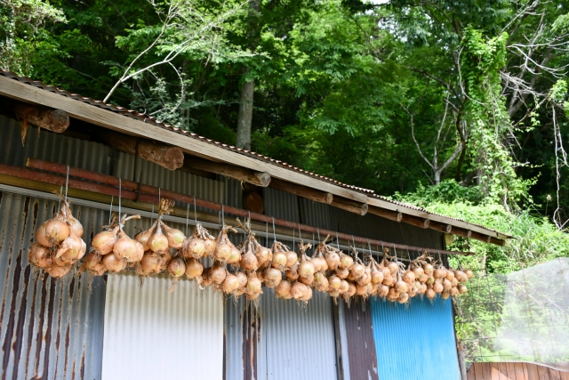 熊取町7人連続怪死事件の真相と犯人！詳細や場所・警察の自殺認定・なんJでの議論などまとめ | WONDIA