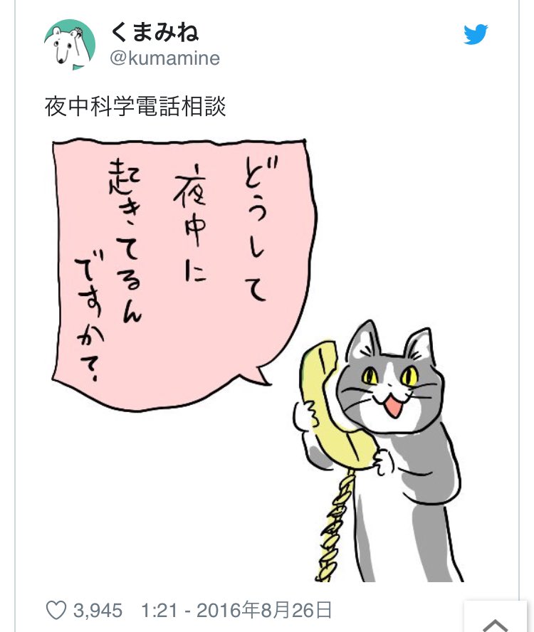 現場猫の元ネタは「どうして」の電話猫！著作権問題・なんJで人気のコラ画像も総まとめ | WONDIA