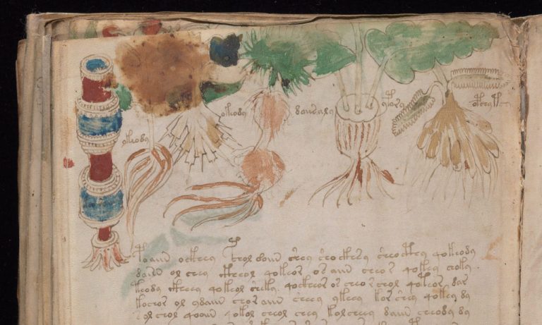 ヴォイニッチ手稿の正体は？解読や危険の理由・内容や全文ダウンロードも総まとめ | WONDIA