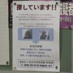 四日市ジャスコ誤認逮捕事件の犯人の女の顔が怖い？被害者や警察官のその後・現在もまとめ | WONDIA