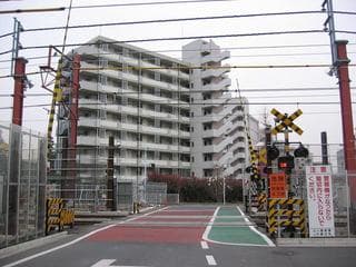 自殺の名所の有名な場所ランキング63選！事件・事故やエピソードも紹介【最新決定版】 | WONDIA